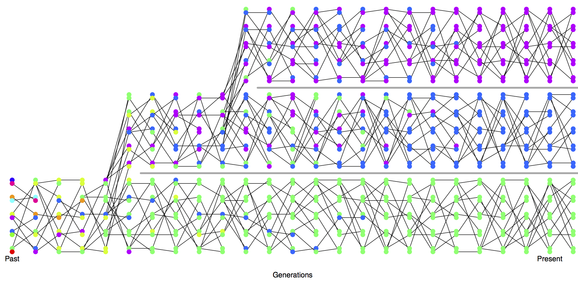 Figures of Incomplete Lineage Sorting | gcbias