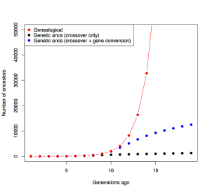 Where did your genetic ancestors come from? | gcbias