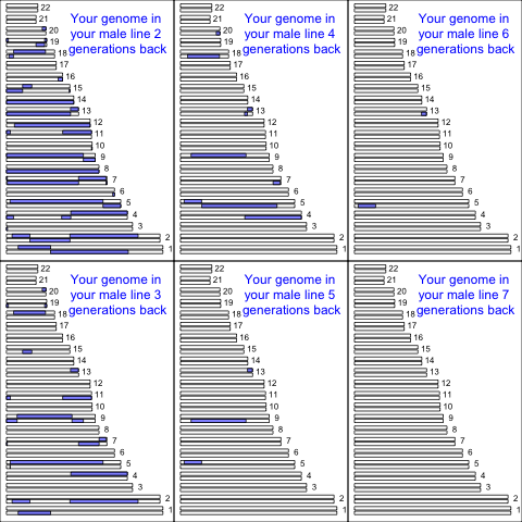 Where did your genetic ancestors come from? | gcbias