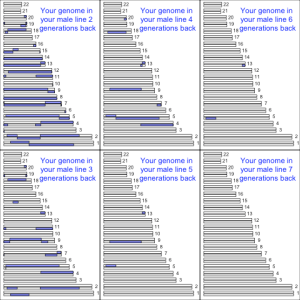 Where did your genetic ancestors come from? | gcbias